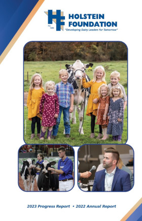 About the Holstein Foundation