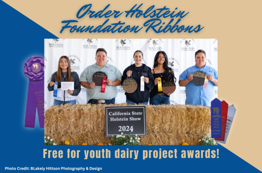 Welcome to the Holstein Foundation